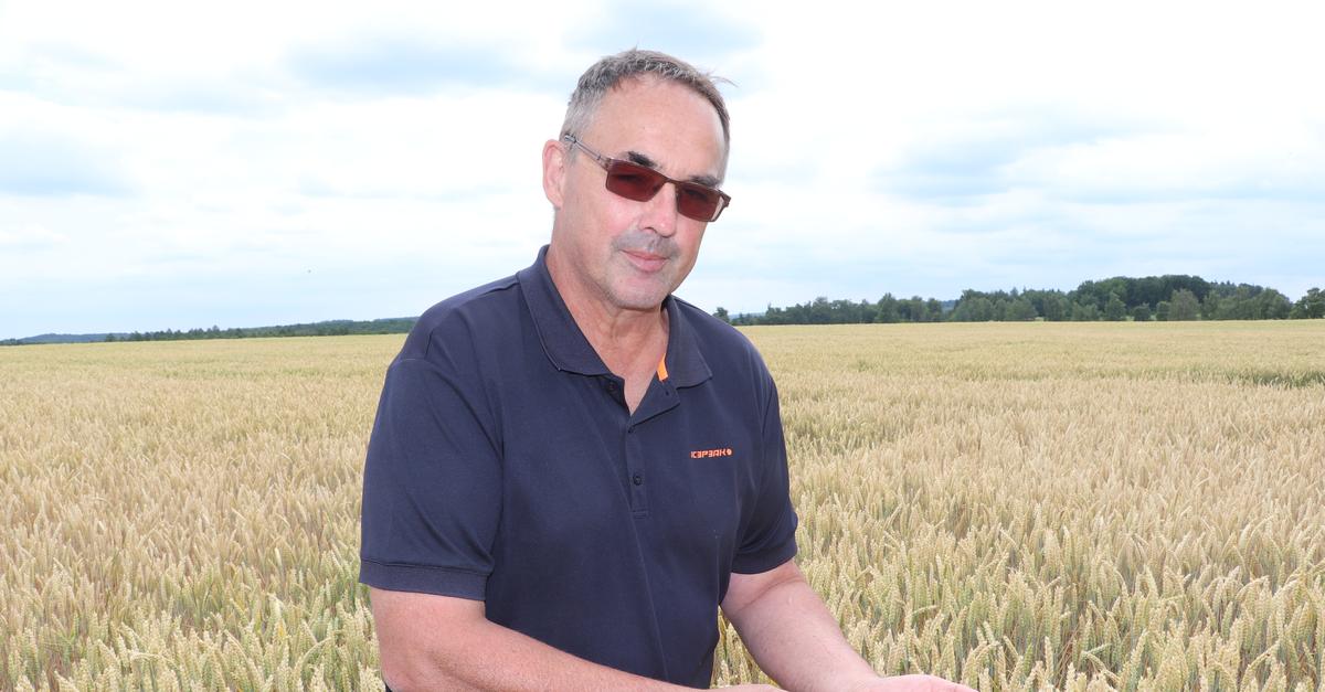 Limburg-Weilburg: Trockenheit macht Landwirten zu schaffen